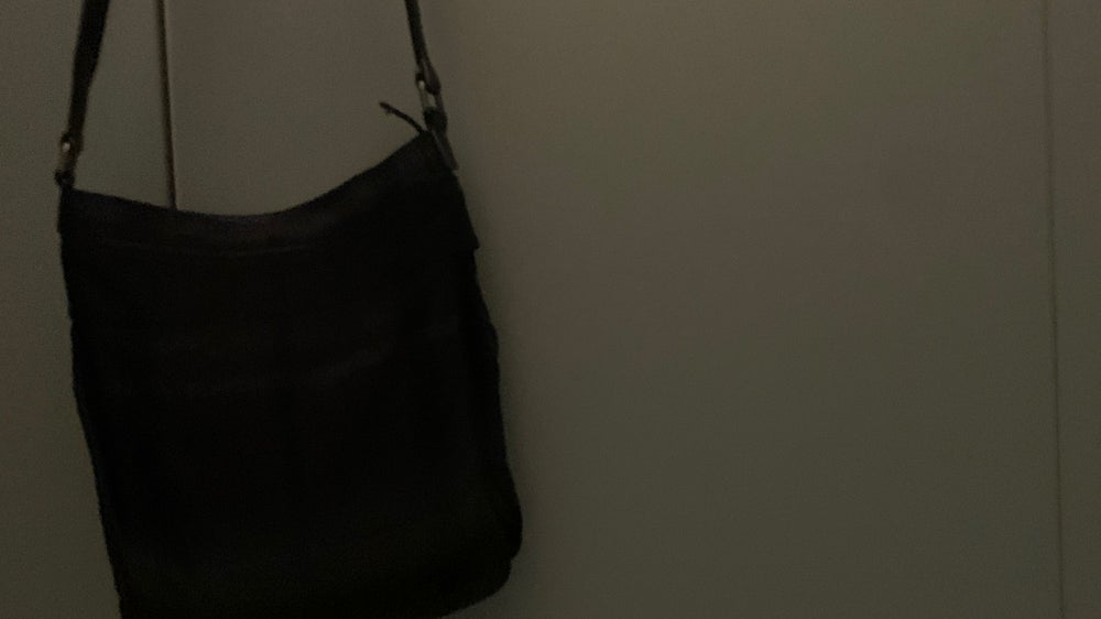 International College For Sustainability Studies (SWUIC ...