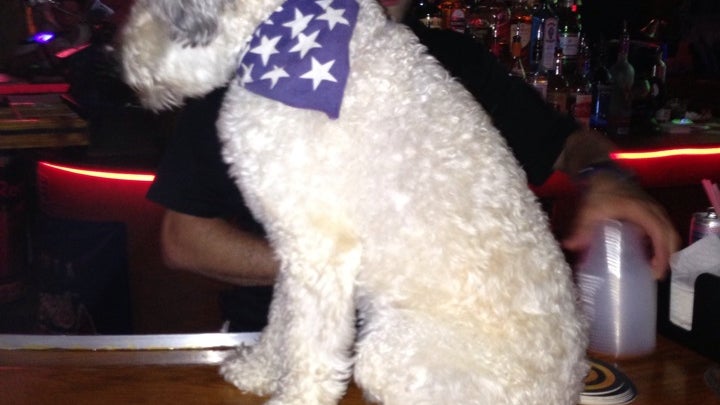 Moondogs - 3179 Peachtree Rd NE, Atlanta