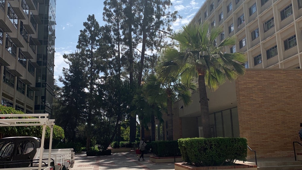 UCLA Hedrick Summit - 240 De Neve Dr., Los Angeles