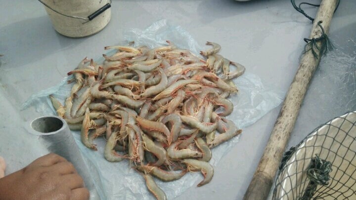 Pasar Bisik - , Penaga