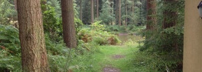 Center Parcs - 38 tips