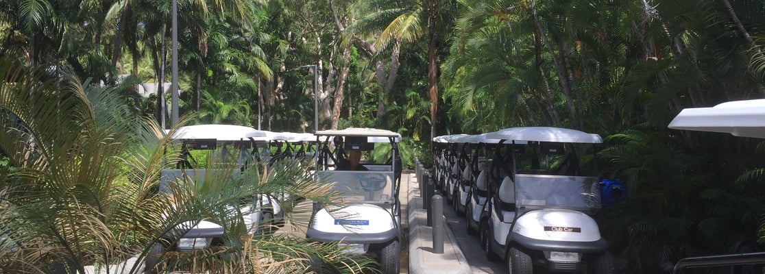Hamilton Island Buggy Rental - 6 tips from 95 visitors