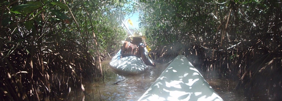 Progreso - 100 tips from 8842 visitors