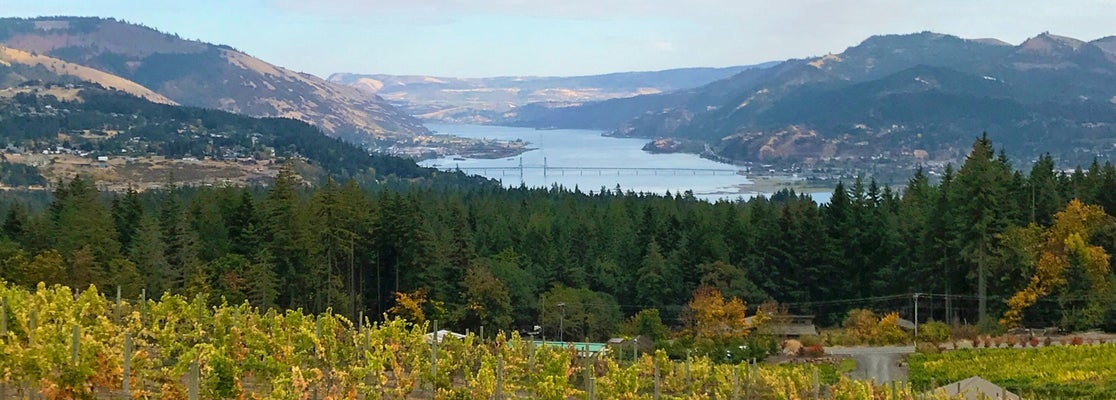 Aniche Cellars - Underwood, WA