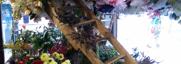University Floral Design - Greenwich Village - New York, NY