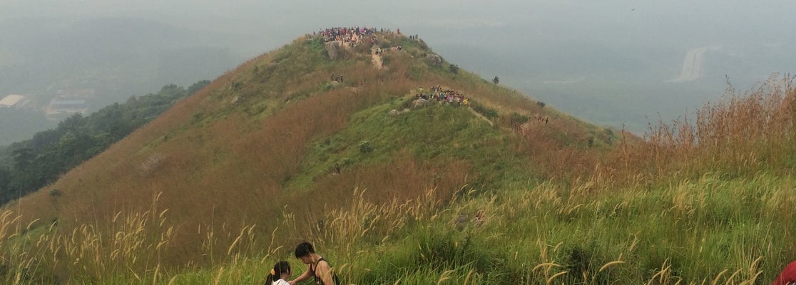 Broga Hill (Bukit Broga) - Broga Town