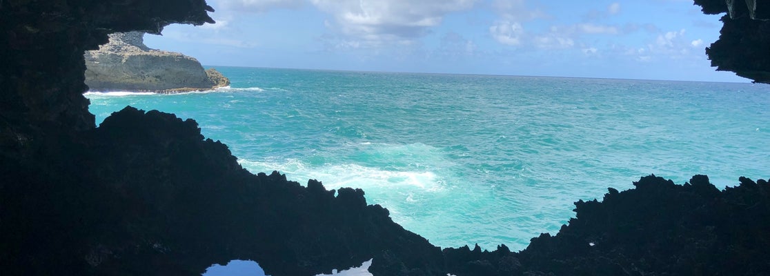 Animal Flower Cave - Cave