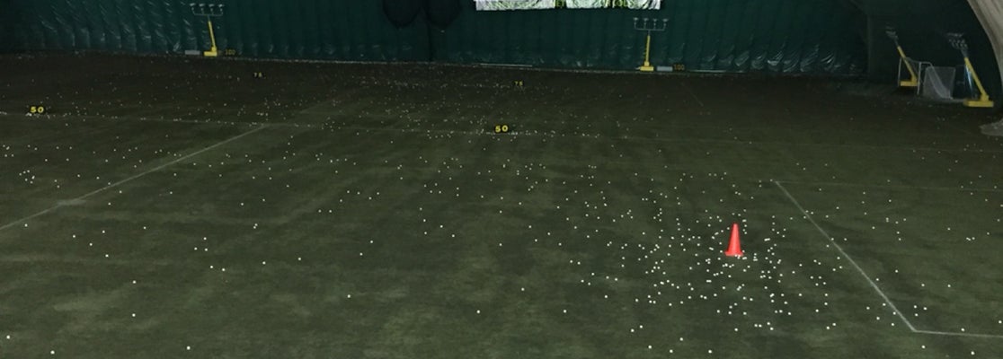 Robert Morris University Island Sports Center - Golf Dome - Neville ...