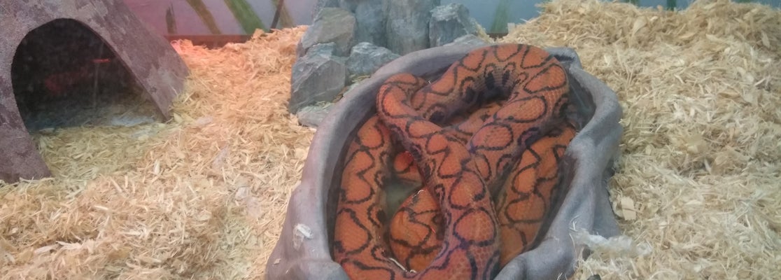 Bug Museum - West Bremerton - 4 tips from 186 visitors