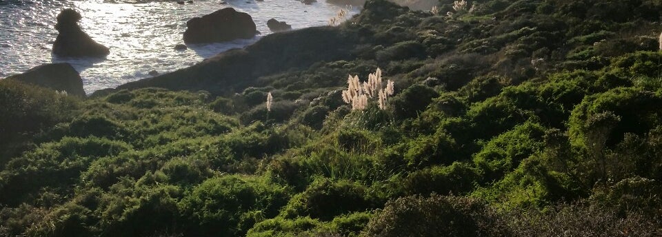 Shell Beach - 2 tips