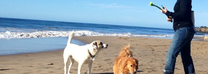 Lighthouse Field State Beach - Westside - 10 tips