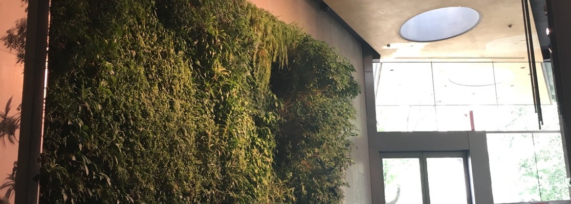 David Rubenstein Atrium at Lincoln Center - Performing Arts Venue in ...