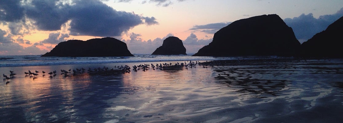 Cannon Beach - 44 tips from 4976 visitors