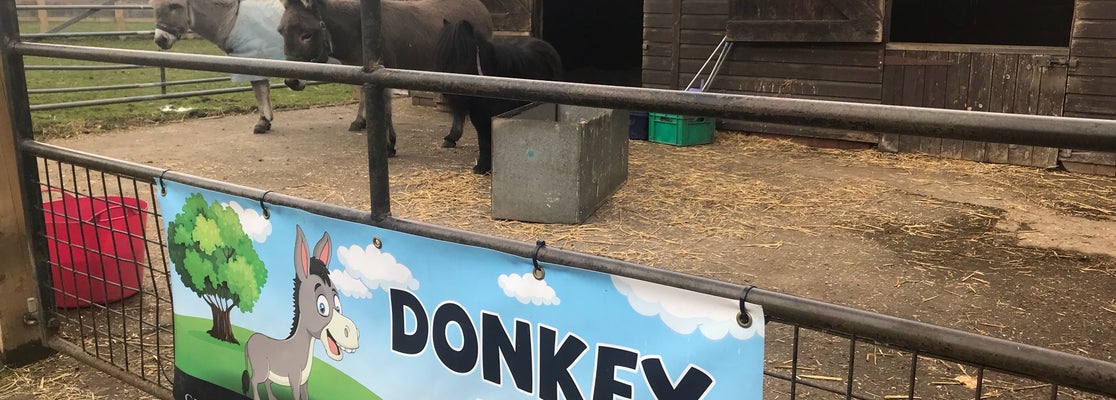 Surrey Docks City Farm - Farm in Surrey Docks