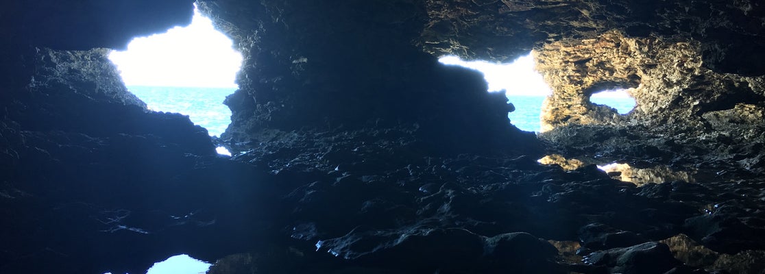 Animal Flower Cave - Cave