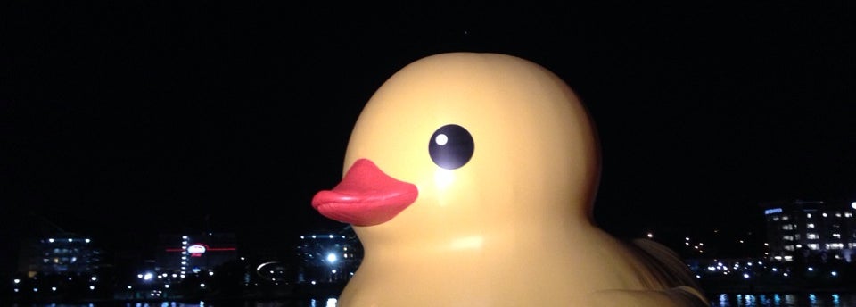 theduck,ttuk,tukrae_大山谷图库