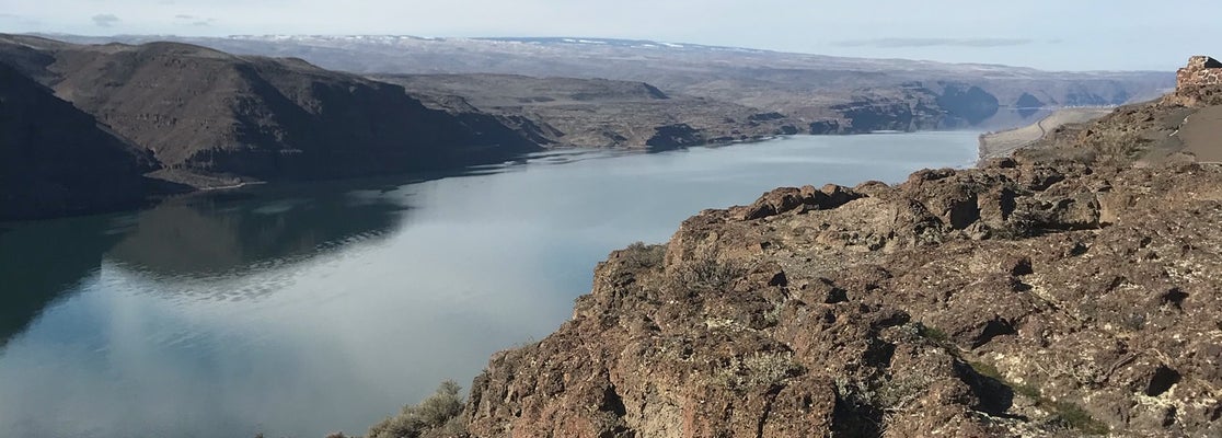 Columbia River Scenic Overlook - Scenic Lookout in Vantage