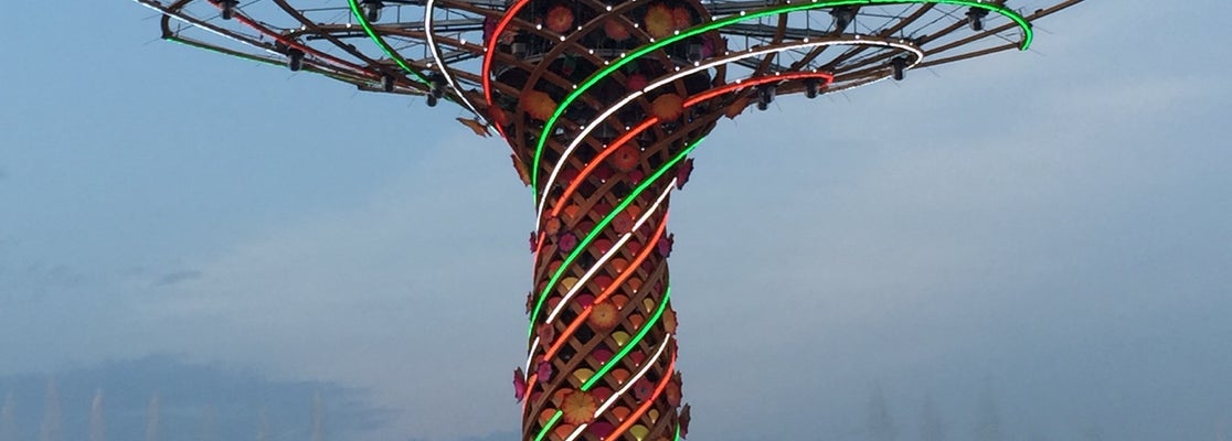 Albero della Vita - Lake Arena