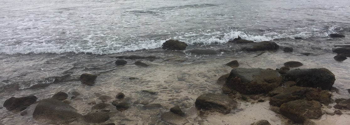 Seal Rocks - Other Great Outdoors