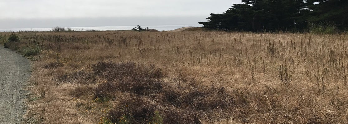 Half Moon Bay Coastal Trail - 11 tips