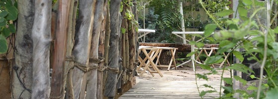 Forest Room 5 - Bar in Highland