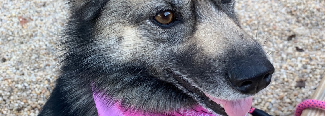 Blue Point Brewing Company - 50 tips from 2806 visitors