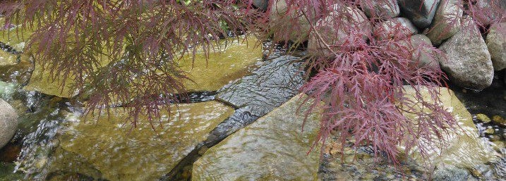 Assembly Hall of Jehovah's Witnesses - Spiritual Center