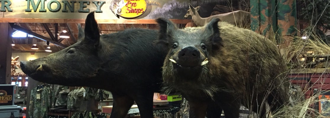 Bass Pro Shops - Concord Mills - 26 tips