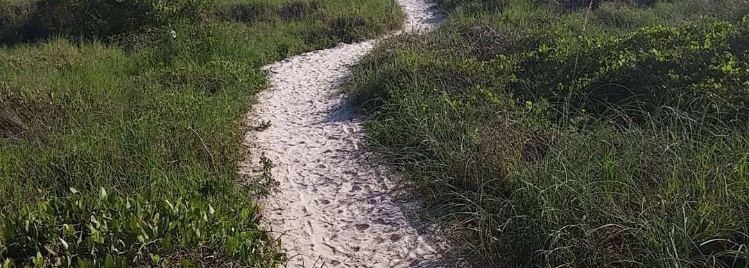 Matanzas Innlet - 11 tips from 427 visitors