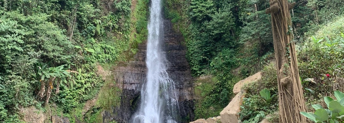 Gitgit Waterfall - 43 tips