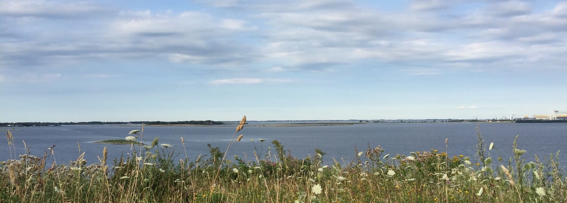 Stige Ø - Odense, Region Syddanmark