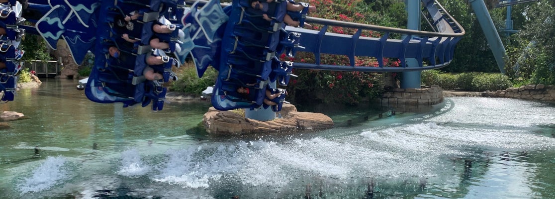 Manta - Sea World Theme Park - 118 tips