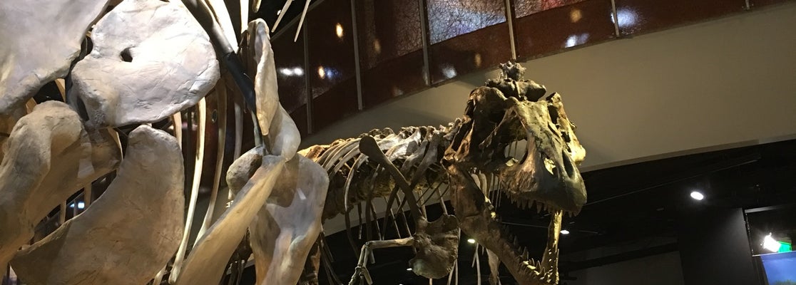 Perot Museum of Nature and Science - Science Museum in Dallas
