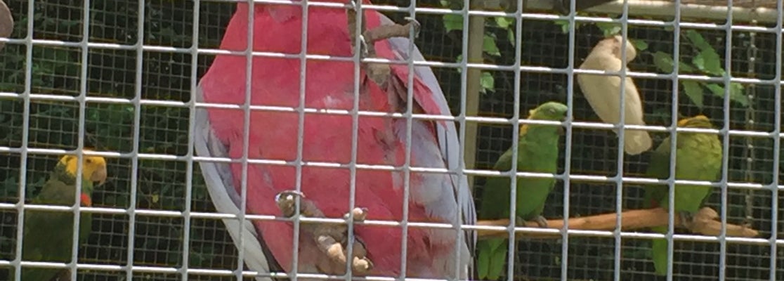 Noah's Ark Animal Habitat - Zoo in Locust Grove