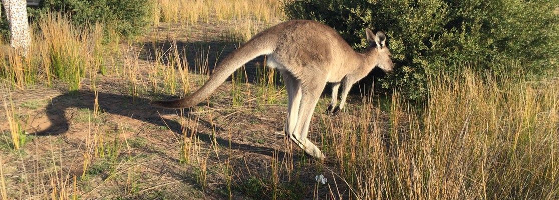 Wilsons Promontory National Park - 6 tips from 538 visitors