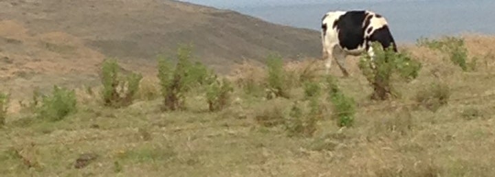 Point Reyes Lighthouse - Inverness, CA