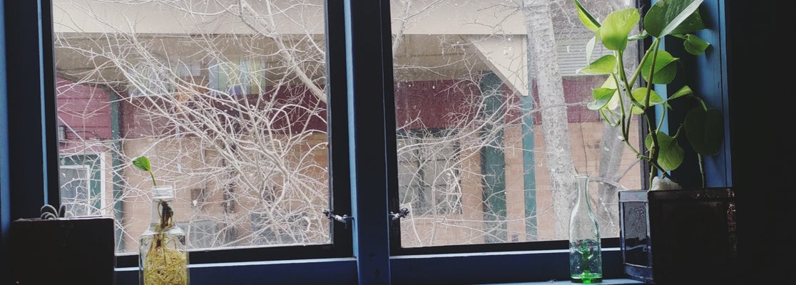 Epoch Coffee - North Loop - 127 tips