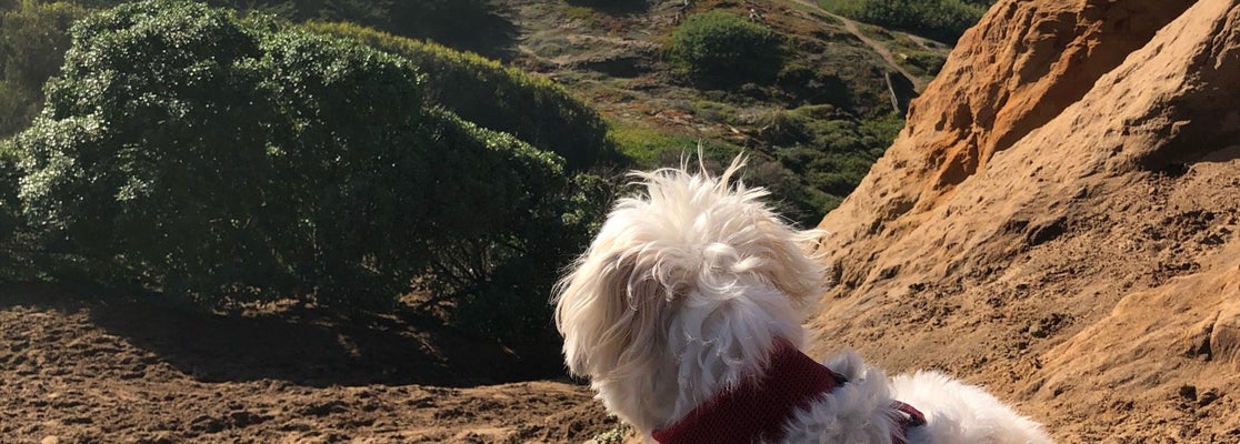 Fort Funston - Park in Lakeshore
