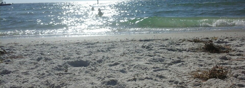 Sand Key Park - Sand Key - 71 tips