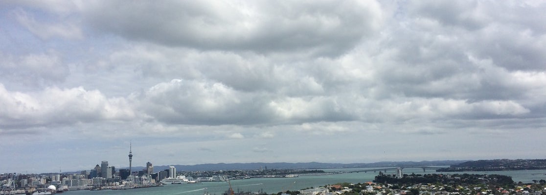 Mount Victoria Reserve - Scenic Lookout in Devonport