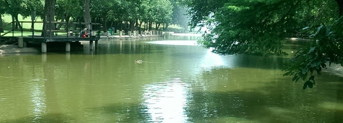 Trinity Park Duck Pond - 8 tips