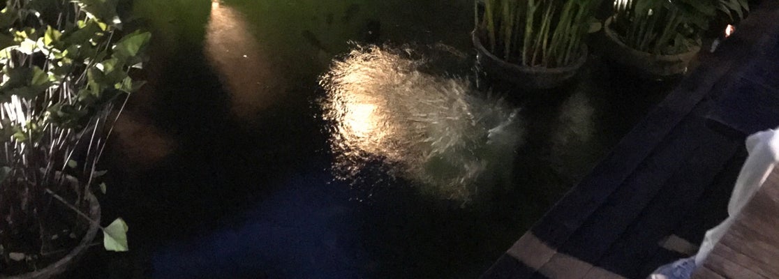 Atmosphere Resort Café - 154 tips from 10039 visitors