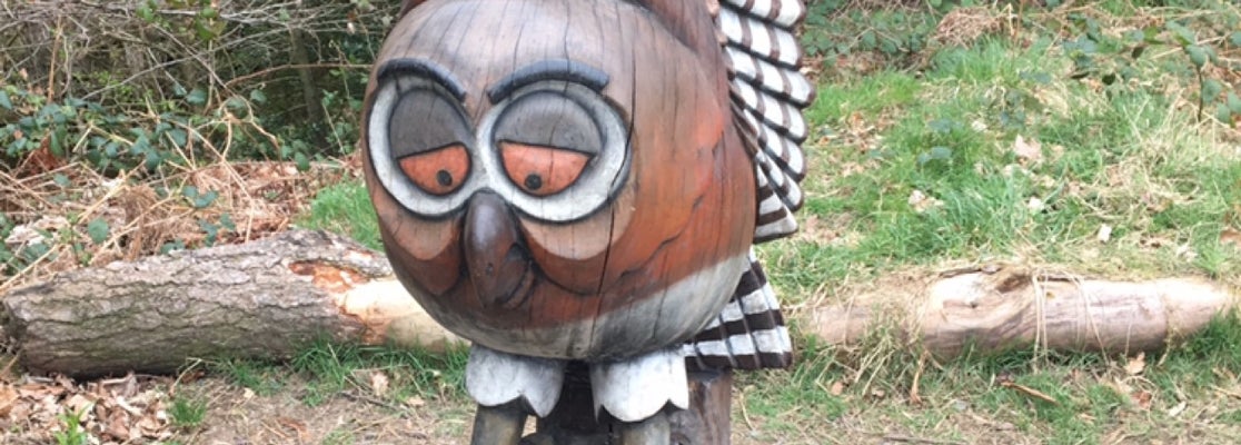 Hamsterley Forest - Forest in Hamsterley