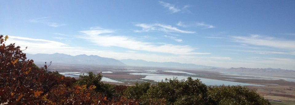 City of Farmington - 4 tips from 722 visitors