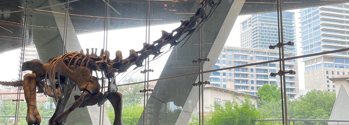 Perot Museum of Nature and Science - Science Museum in Dallas