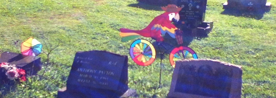 Allegheny Cemetery - Central Lawrenceville - 12 tips from 560 visitors