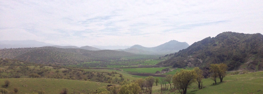 Makhmal Kooh | پارک جنگلی مخمل کوه - Forest