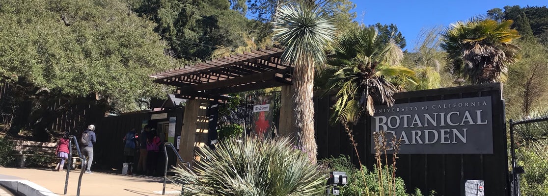 UC Berkeley Botanical Gardens - Botanical Garden in Berkeley