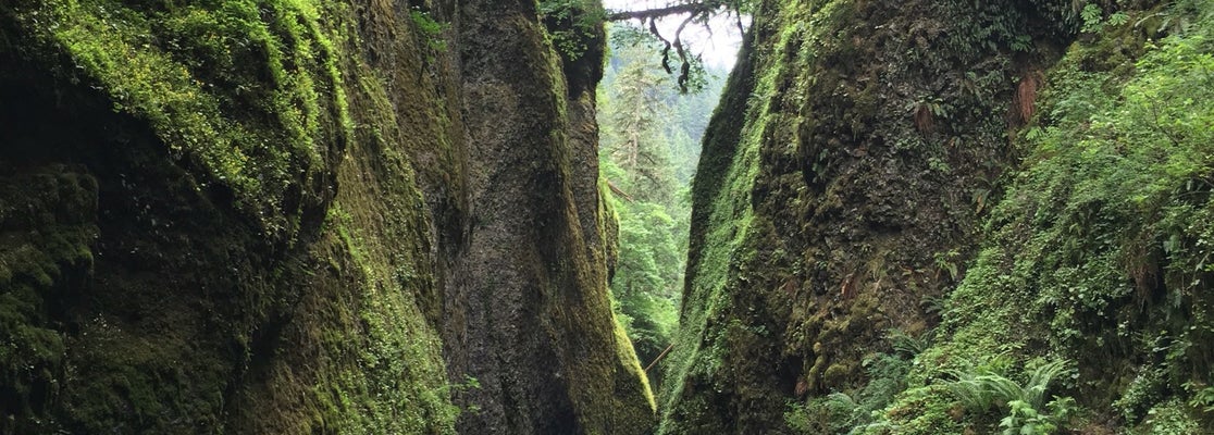 Oneonta Gorge (Now Closed) - Other Great Outdoors in Portland
