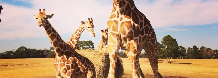 Global Wildlife Center - 16 tips from 614 visitors